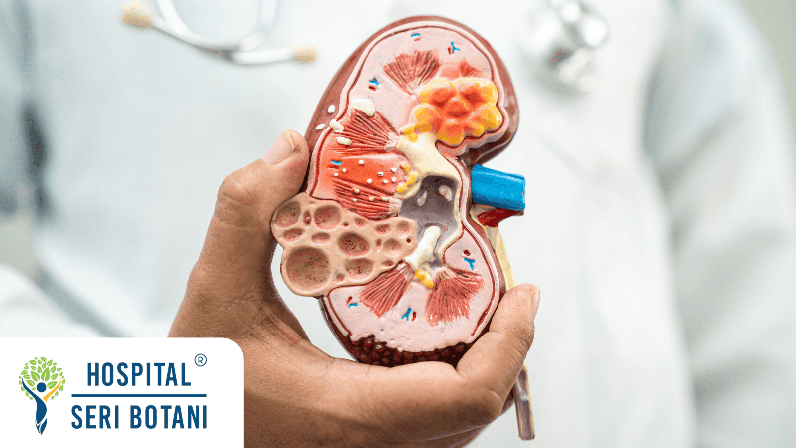 Rising Risk Of Chronic Kidney Disease: Early Warning Signs You Should ...